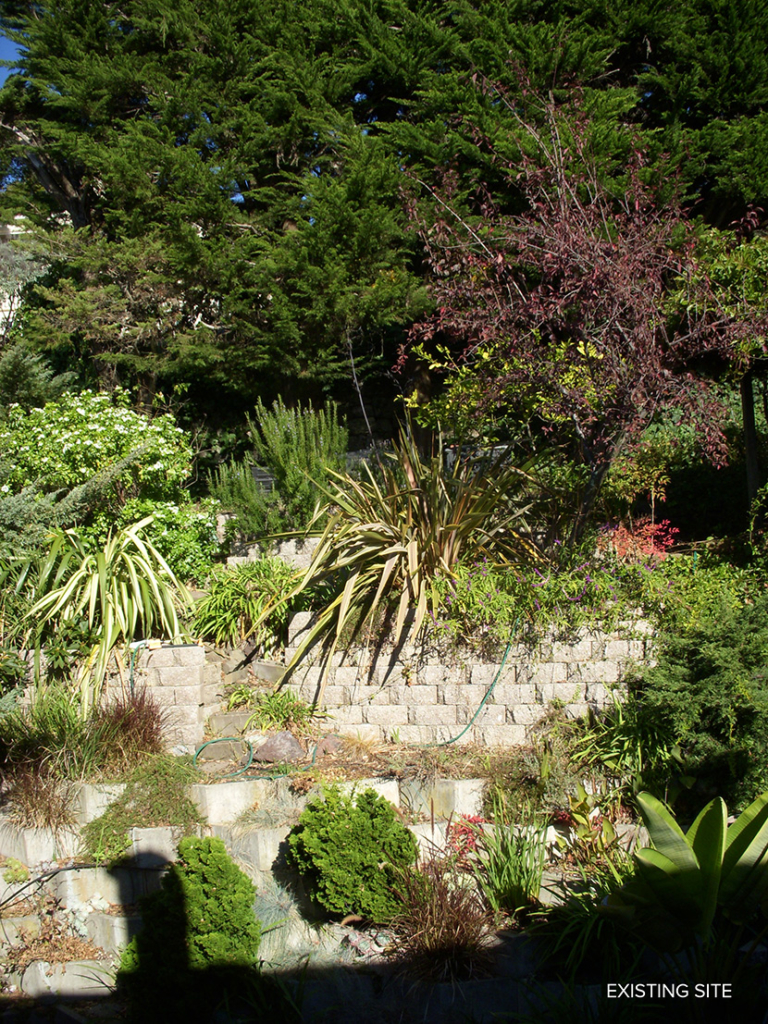 Hilgard Garden - Mary Barensfeld Architecture
